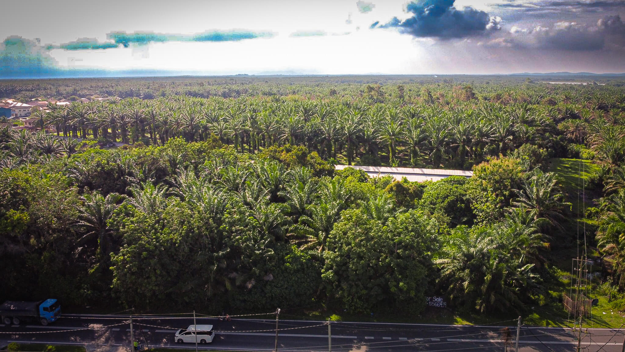 Tanah Pertanian untuk dijual di Kg Sungai Kroh, Chenderiang, Perak ...