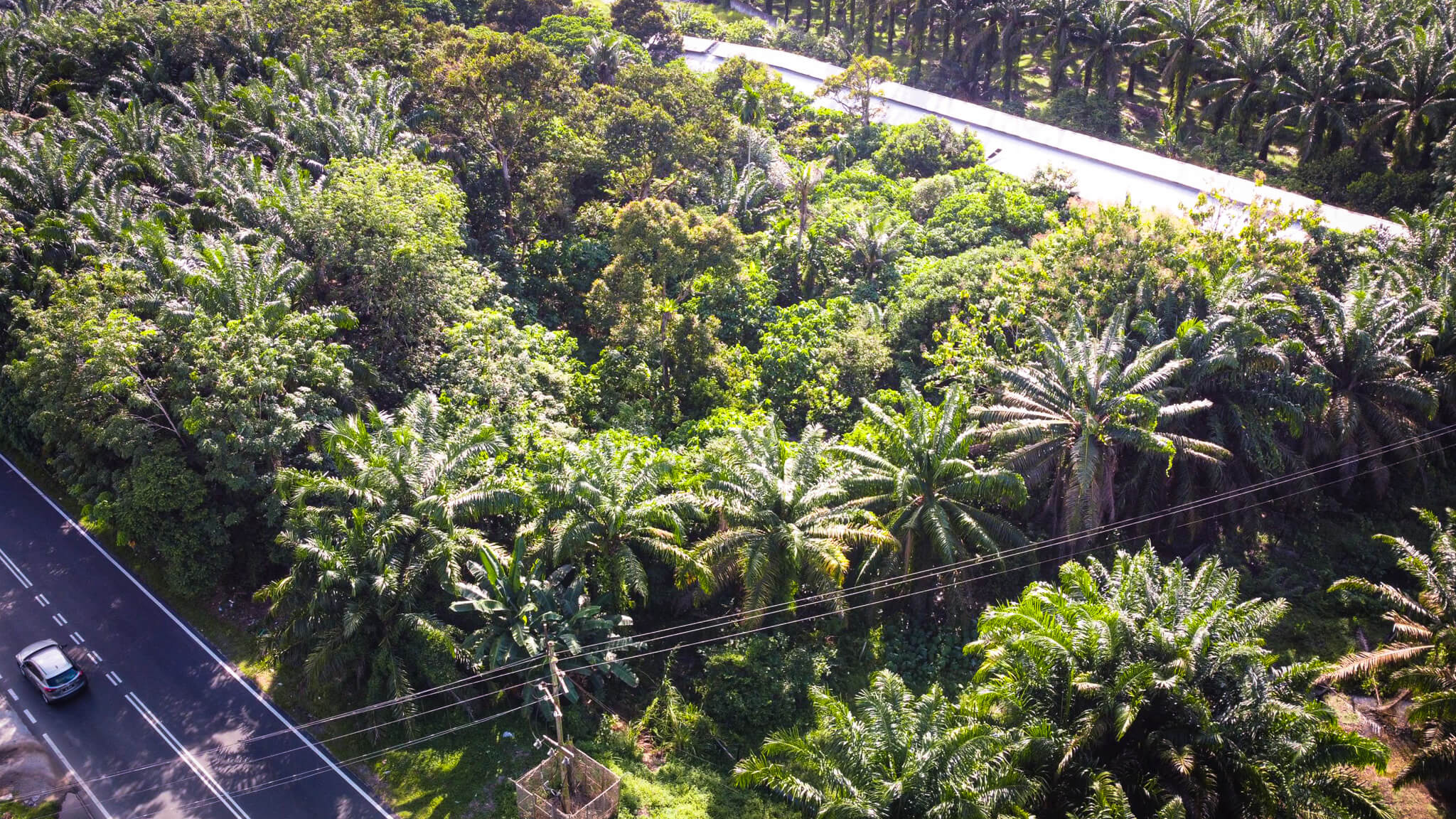 Tanah Pertanian untuk dijual di Kg Sungai Kroh, Chenderiang, Perak ...