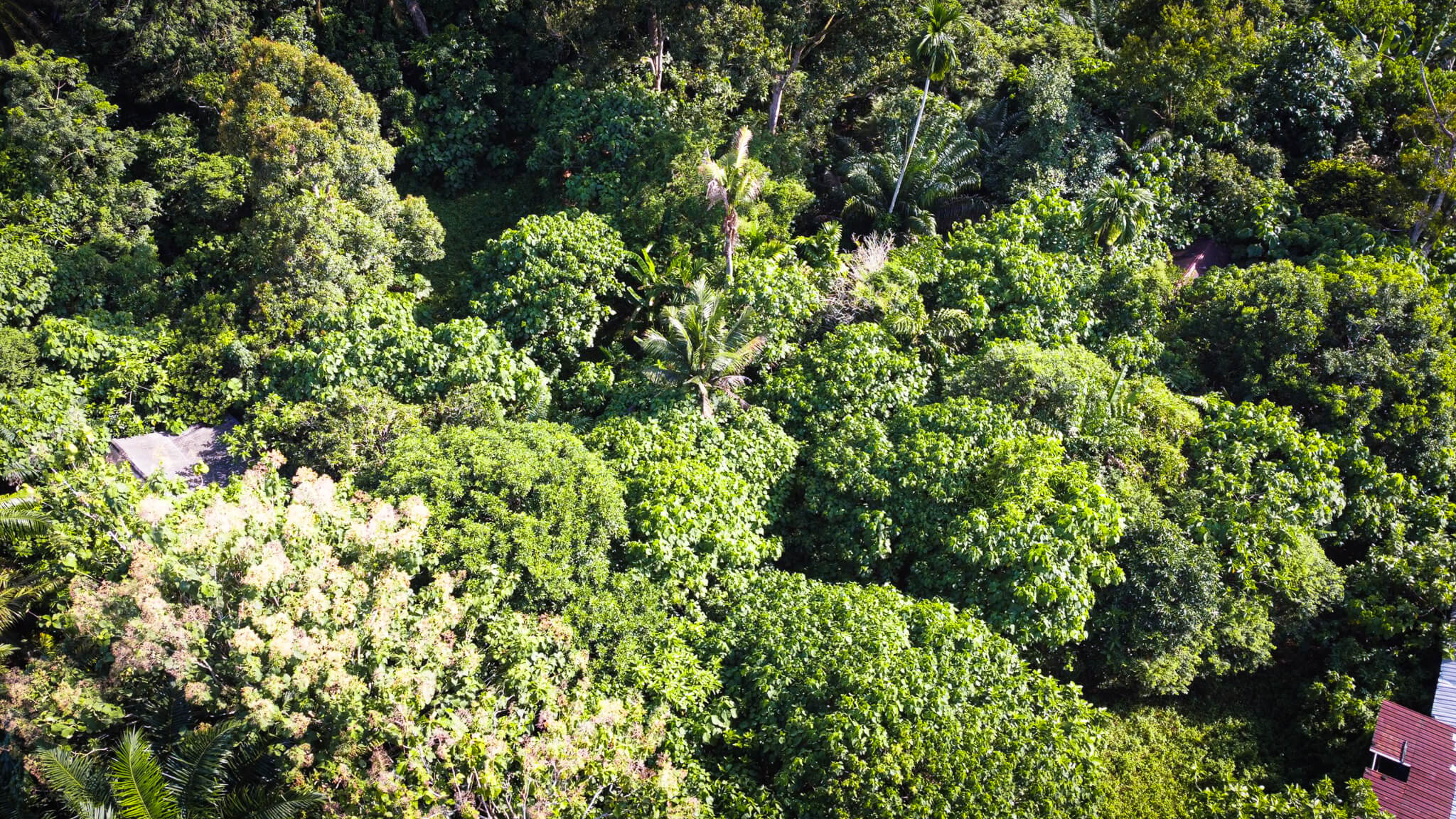 Tanah Pertanian untuk dijual di Kg Sungai Kroh, Chenderiang, Perak ...